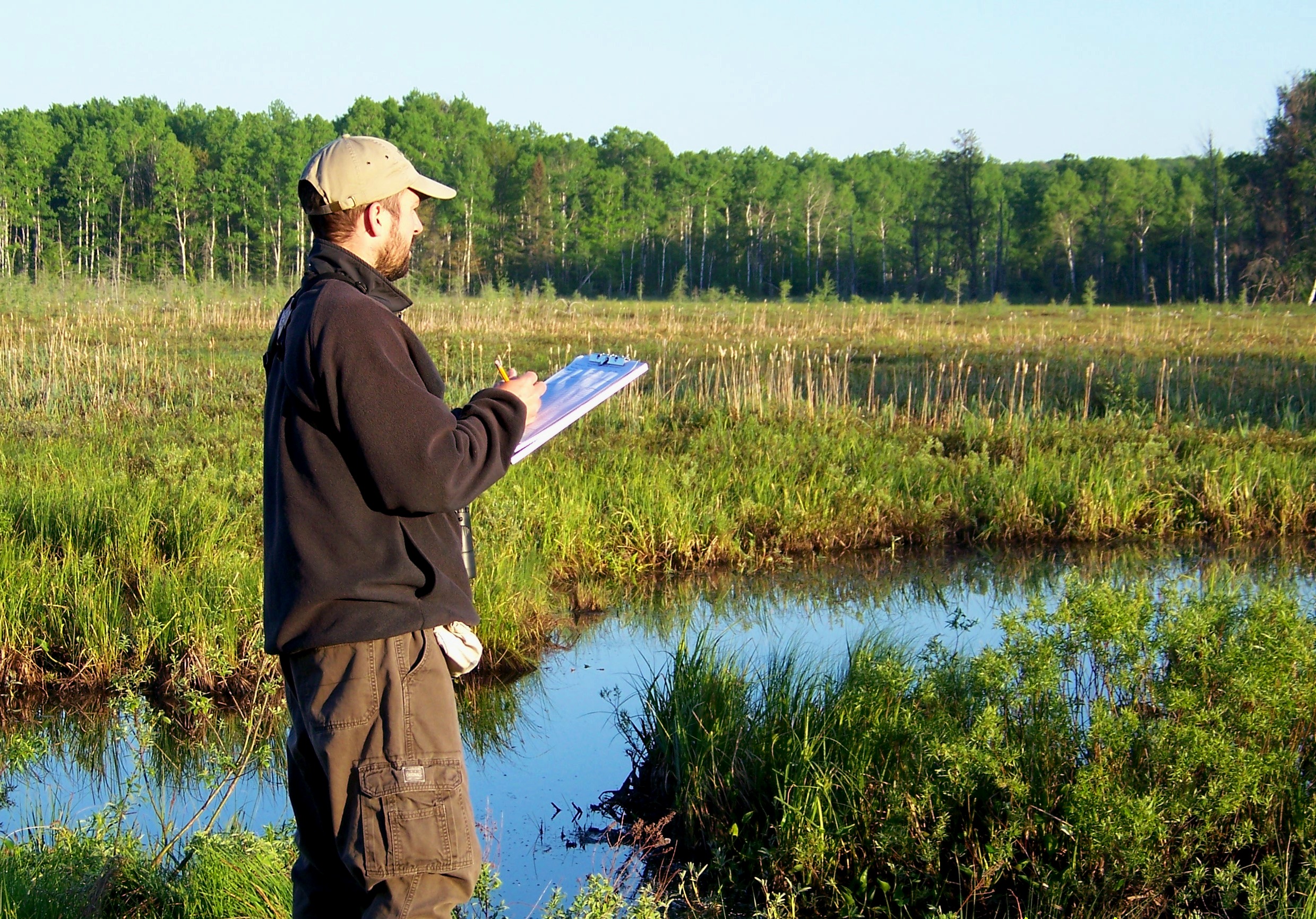 The thrill of...monitoring birds