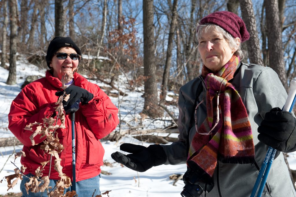 Restoring more than land: How conservation work in one unique landscape ...