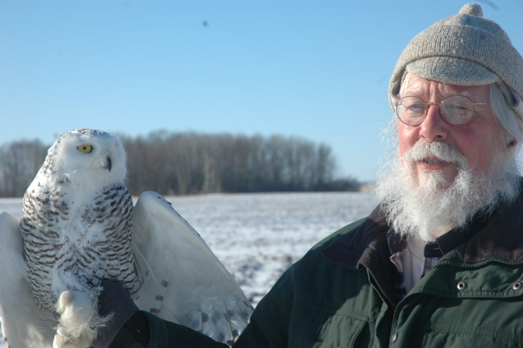 Tracking Wisconsin Snowy Owls - Austin and Badger