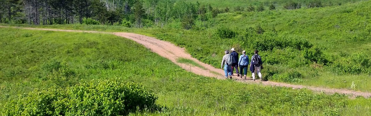 Field Trips with the Natural Resources Foundation of Wisconsin
