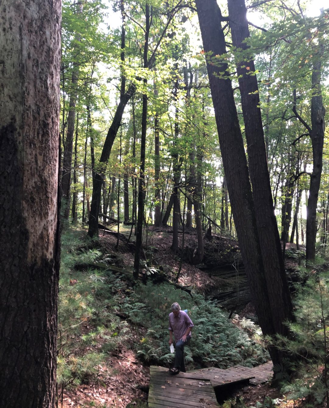 The Dells: An Upham Woods Perspective on Place and Legacy - Natural ...