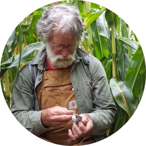 How do birds respond to restoration at the Badger Lands?