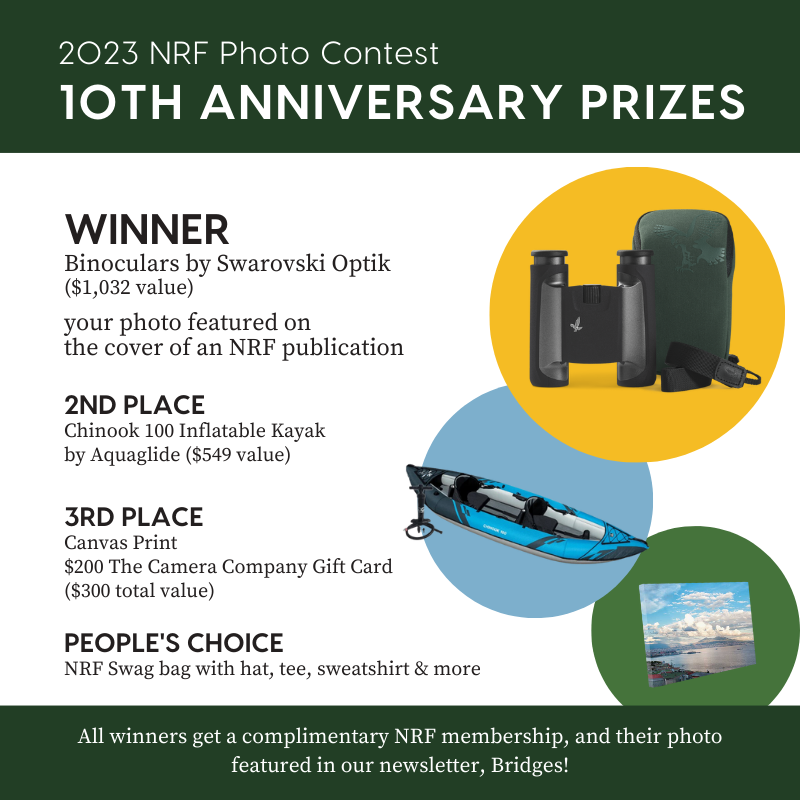 NRF's 10th Annual Photo Contest