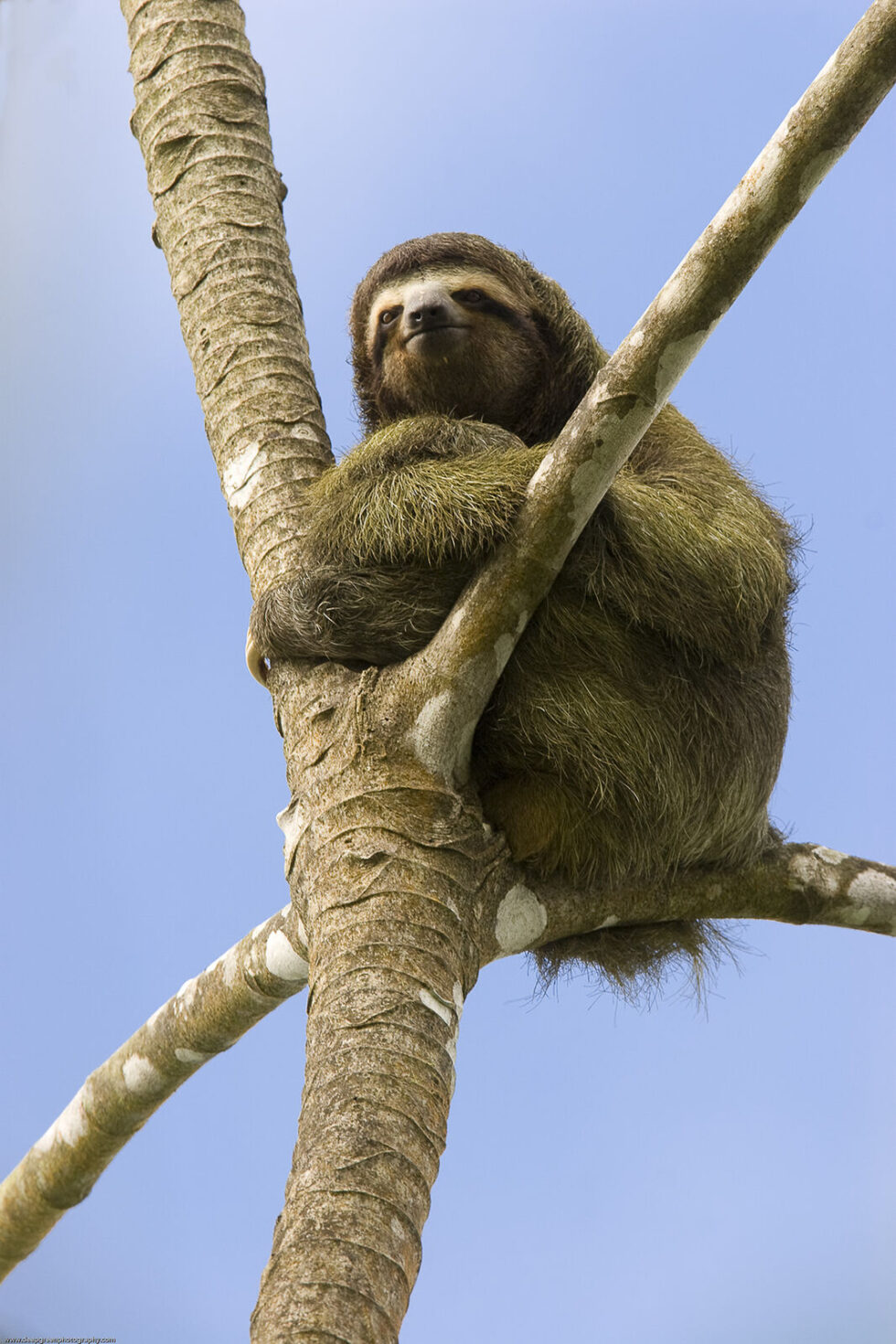 Costa Rica: Preserving Paradise