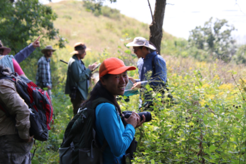Let's go on a bumble bee walk