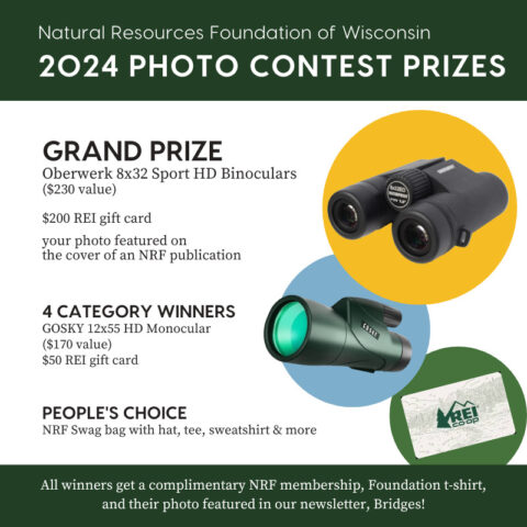 Annual Photo Contest