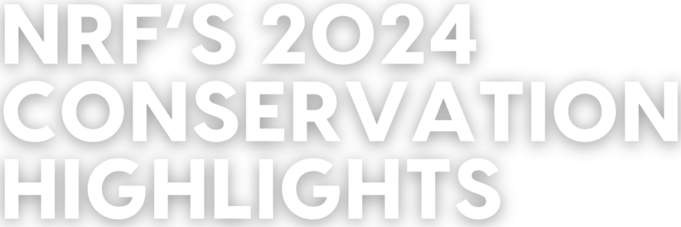 Natural Resources Foundation of Wisconsin