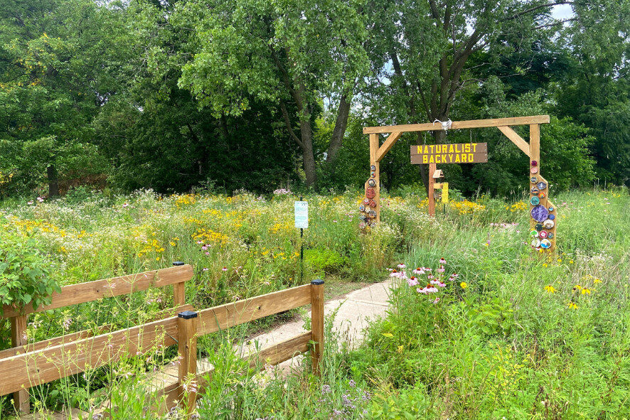 Wisconsin's Most Unexpected State Forest
